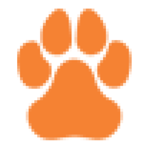 AlphaFlo® Canine Allograft | Regenerative Medicine for Dogs